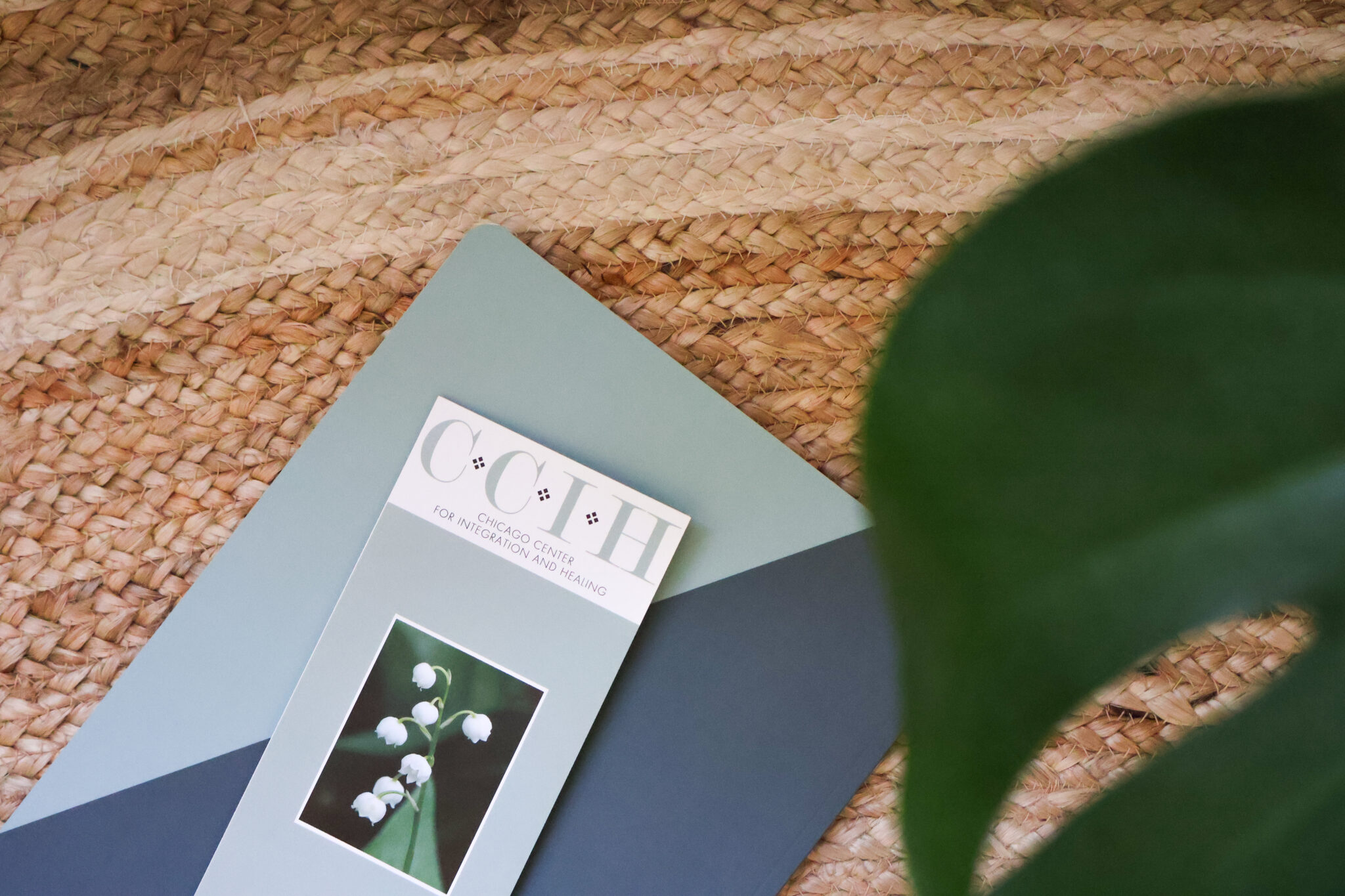 Chicago Center For Integration And Healing